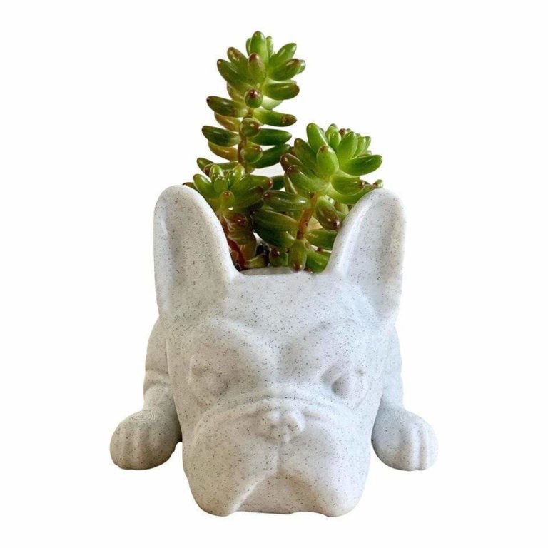 French Bulldog Flower Pot - Frenchie World Shop
