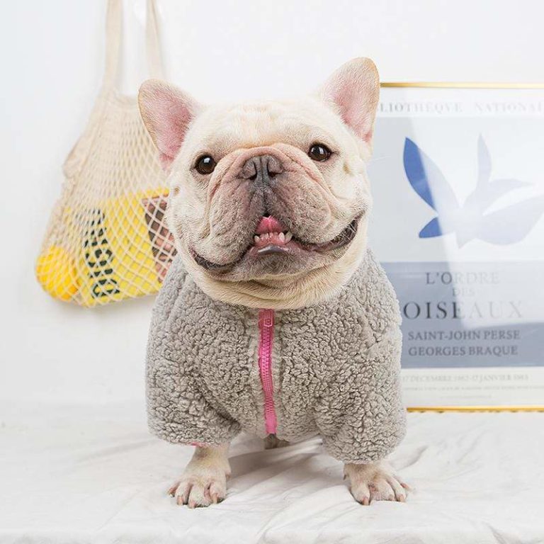 Zip Fuzzy Frenchie Jacket - Frenchie World Shop